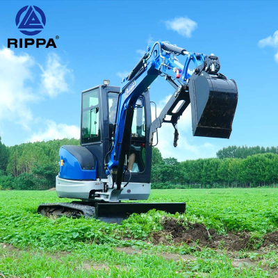 Mini Excavator Manufacturer_Price_Supplier - Shandong Rippa Machinery ...